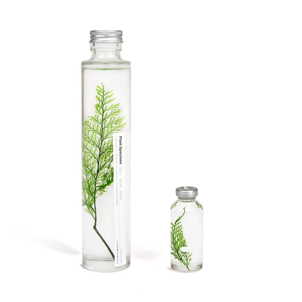 Plante immergée - Tabaria fern - 30ml chez Maison Godillot